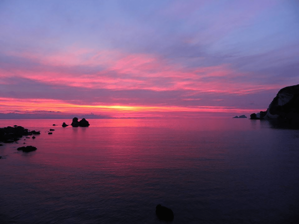 Maria Conte Programs – Italian, Spanish, ESL, Art, Health and Wellness